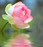 Dorothy LaVonne Hall – March 23, 1931 – November 21, 2025 : The Prowers ...